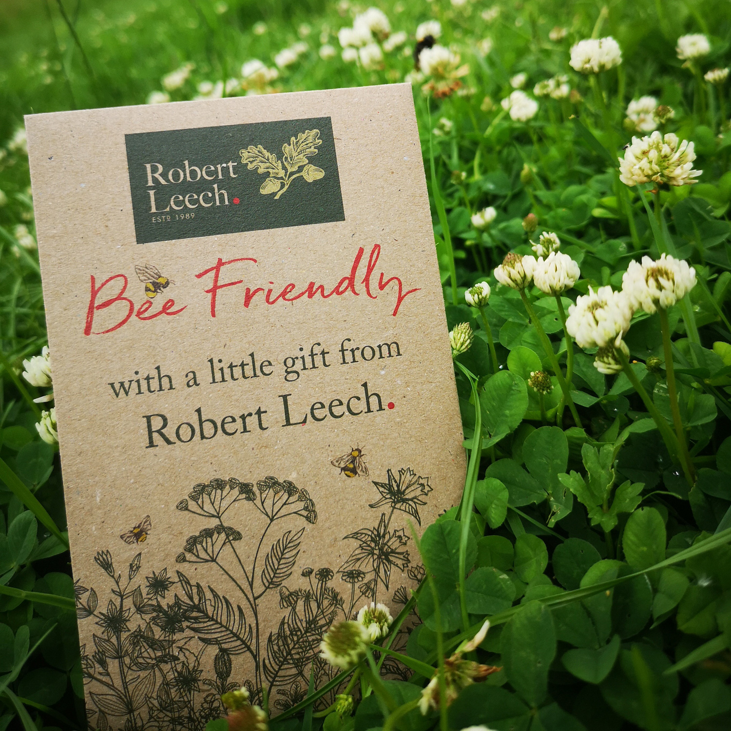 Green Agenda | Robert Leech's Eco-Friendly Vision